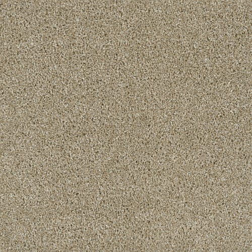 Accolade in Outback Carpet – Murleys Floor Covering